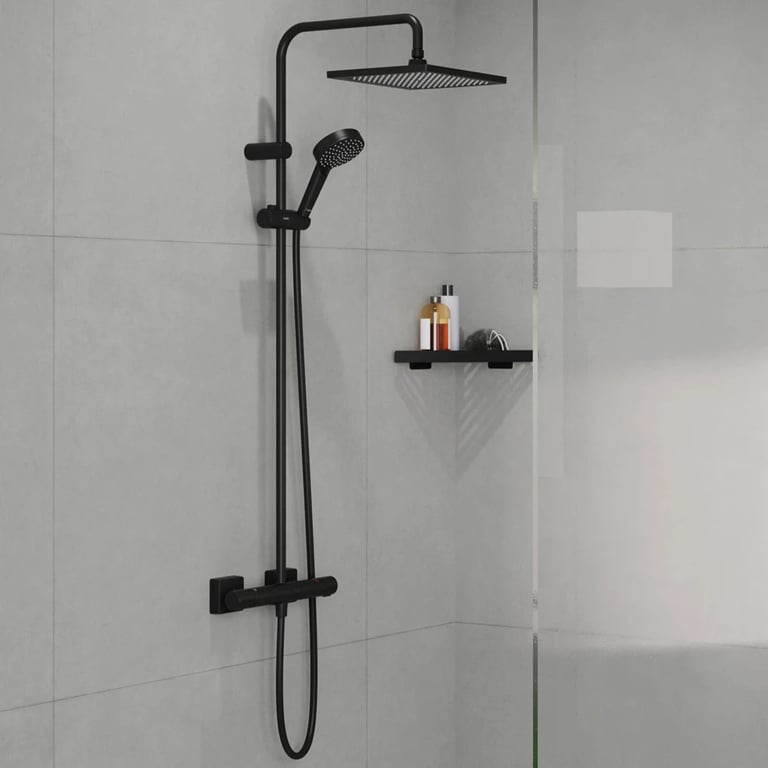 hansgrohe Vernis Shape 240 EcoSmart Dual Mixer Shower 26429670