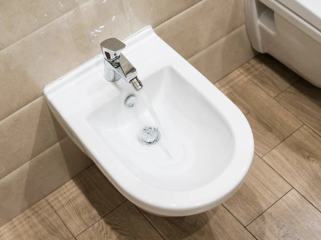 6 Reasons to Own a Bidet