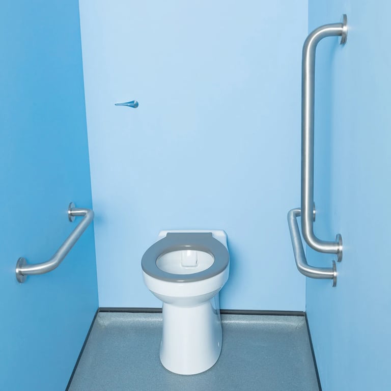 Twyford Avalon Doc M Back To Wall Rimless Toilet Pack - Silver - PK8170SS