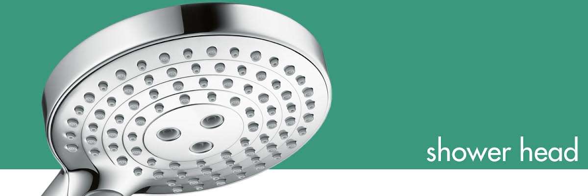 hansgrohe Raindance Select S Hand Shower 120 PowderRain Chrome