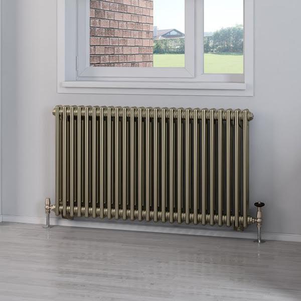 Solaro Rivassa 600 x 1148mm Traditional 2 Column Radiator - Bronze Effect