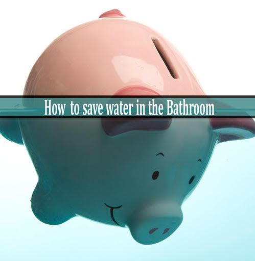 How to Save Water in the Bathroom